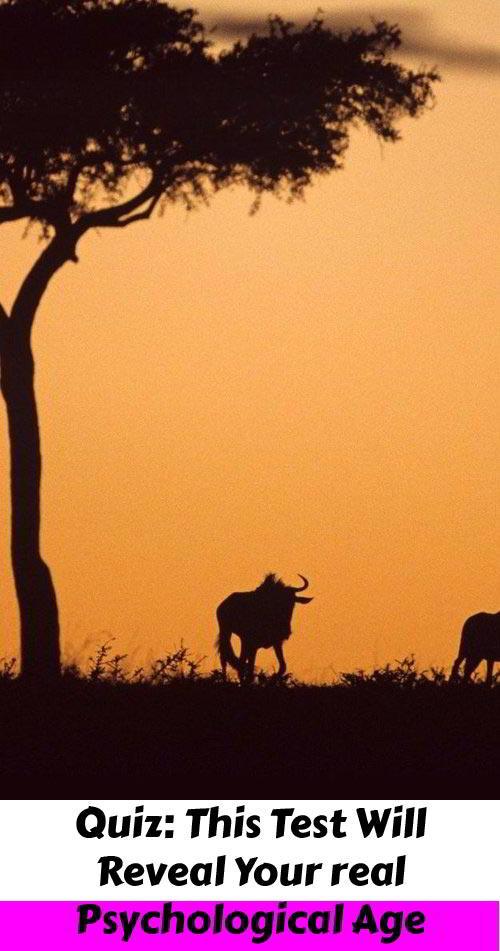 Quiz: This Test Will Reveal Your real Psychological Age