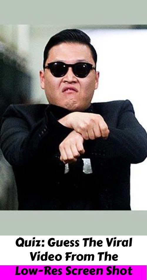 Quiz: Guess The Viral Video From The Low-Res Screen Shot