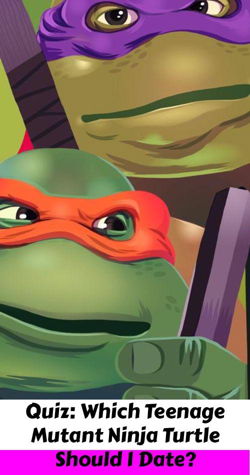Quiz: Which Teenage Mutant Ninja Turtle Should I Date?