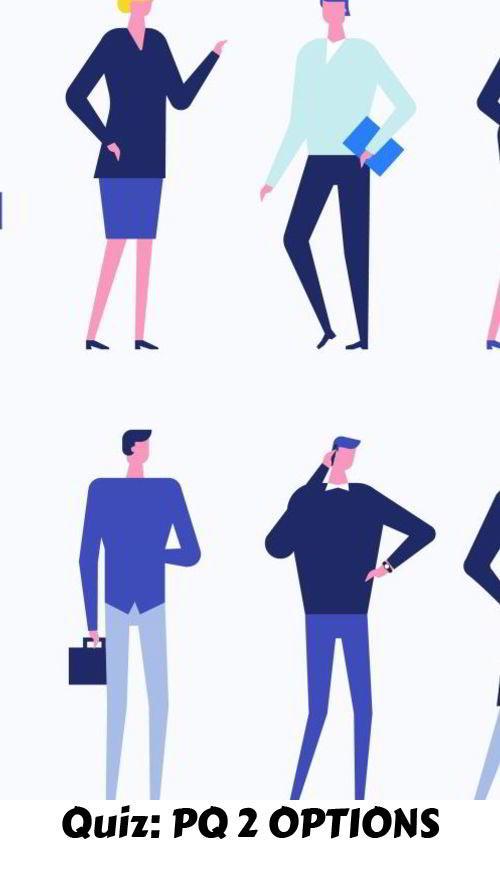 Quiz: PQ 2 OPTIONS