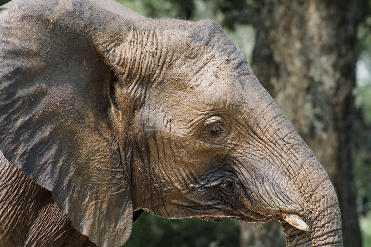 Test Your Knowledge: Are These American Towns Real or Fake?