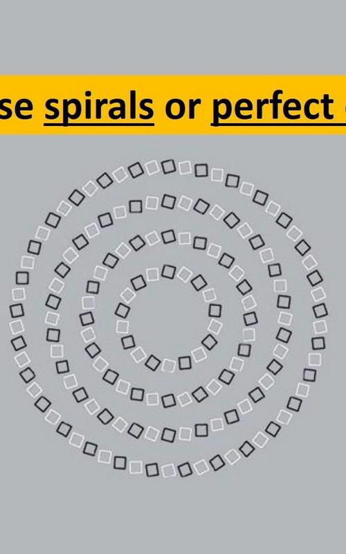 Optical Illusion Quiz: Test Your Intelligence with These Mind-Bending ...