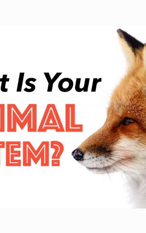 What Animal Spirit Guides Me?