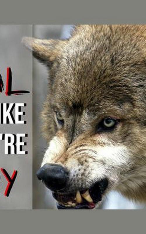 What's Your Inner Animal When You're Fuming?