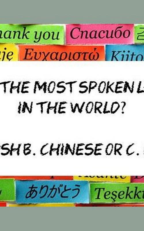15 Essential Questions Every Adult Should Be Able to Answer