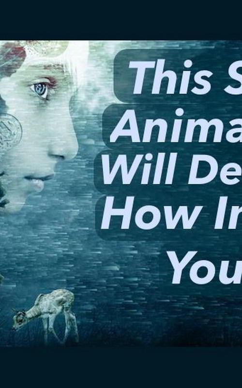 Spirit Animal Quiz: Discover Your Intuition Level