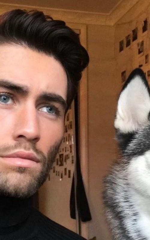 Can You Guess My Canine Counterpart