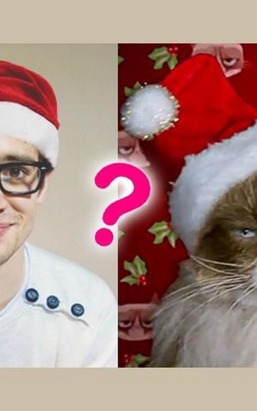 What Type of Traveler Are You? Take This Quiz to Find Out!