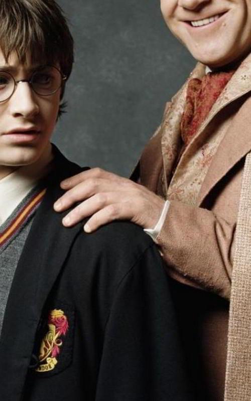 Discover Your Secret Hogwarts Professor Admirer