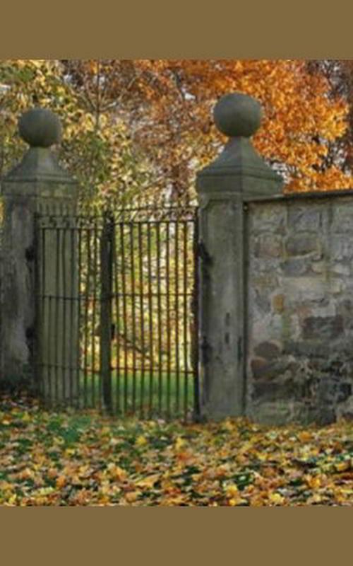 Spot the Hidden Lady: A Challenge for the Intellectually Gifted