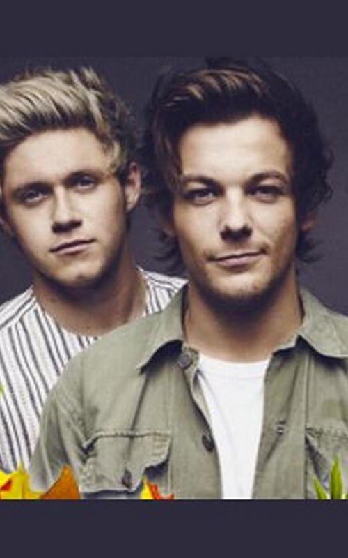 Thanksgiving Dinner: Which One Direction Member Would Make the Perfect ...