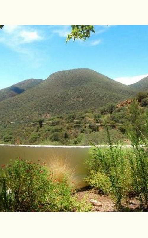 Unveiling the Hidden Lake: A Mind-Bending Optical Illusion