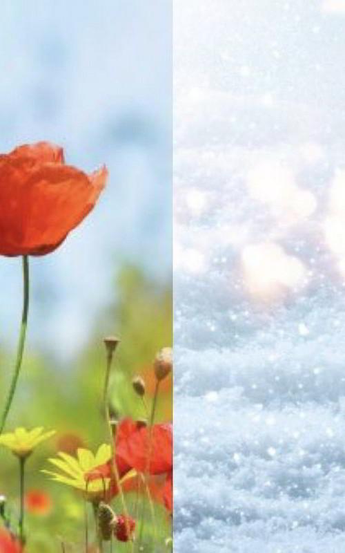 Personality Match: Which Season Suits You Best?