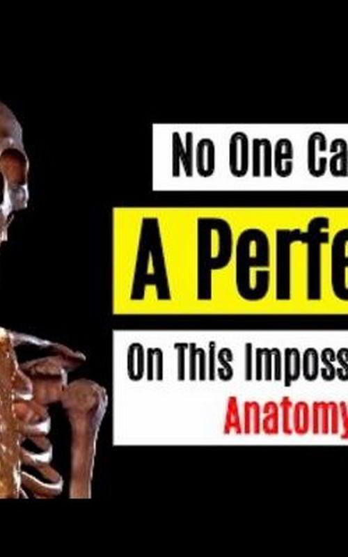 The Ultimate Human Anatomy Challenge: Can You Score a Perfect 10?