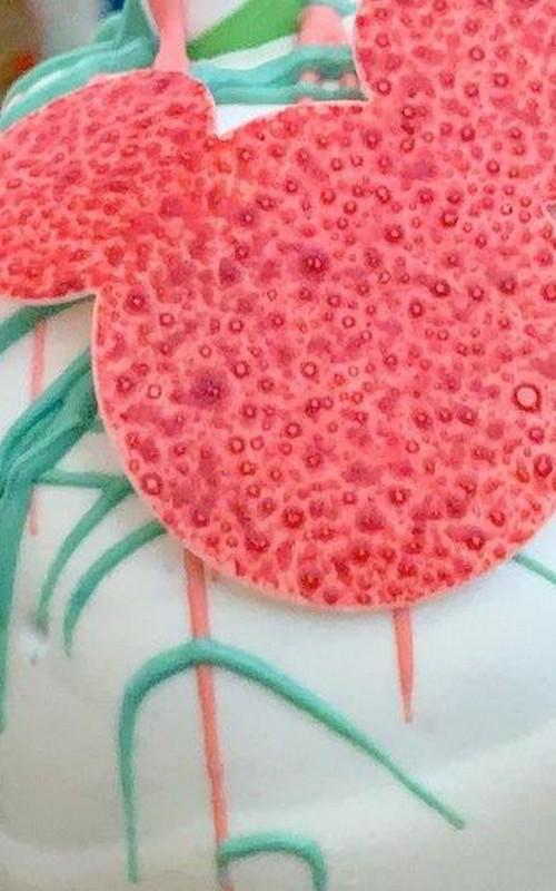 Bake Your Way to Your Disney Channel Crush