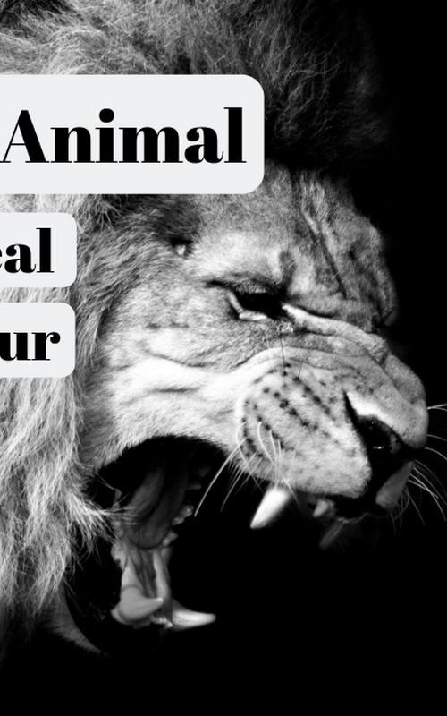 Power Up Your Life: Discover Your Inner Animal with Our Quiz