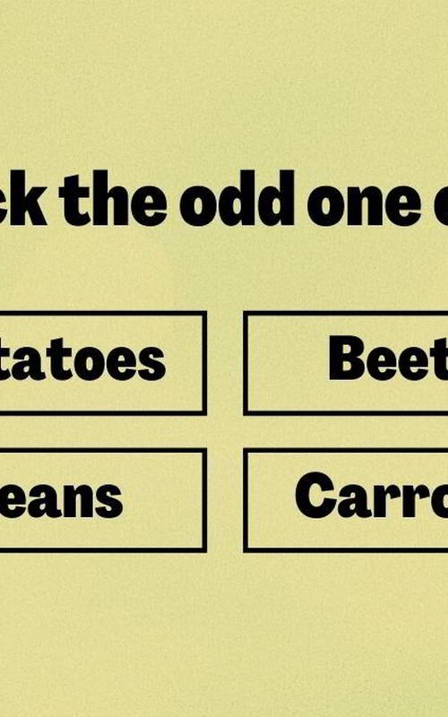 Are You a Genius? Take the Ultimate IQ Test and Find Out!