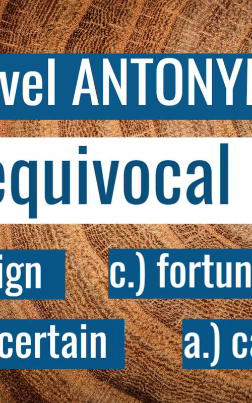 Antonym Challenge: Can You Beat The Toughest IQ Test Online?