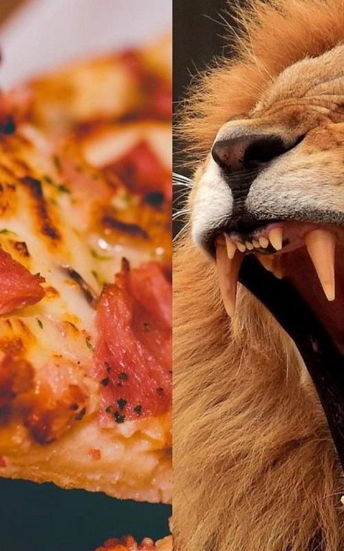 Pizza Personality Test