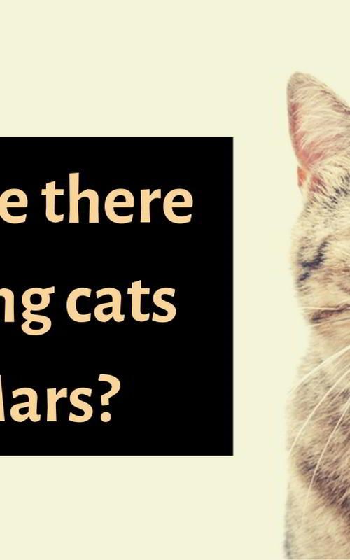 10 Ancient Riddles That Will Leave You Stumped